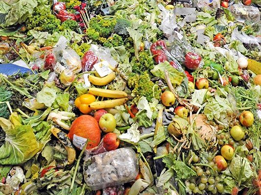 Bahrain News: Recycling to power growth in Bahrain