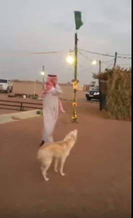 KSA: Video: Dog 'prays' with owner in Saudi Arabia