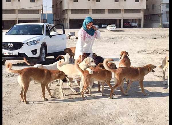 Bahrain News: Plea as strays ‘left to die’ in desert