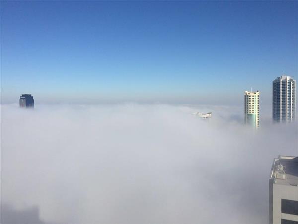 Bahrain News: In Pics: Dense fog covers parts of Bahrain