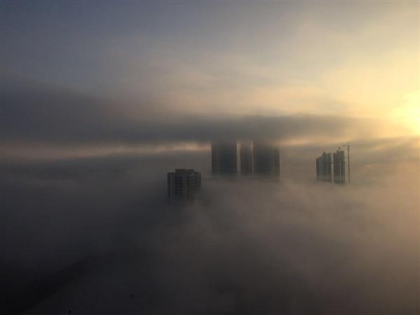 Bahrain News: In Pics: Dense fog covers parts of Bahrain