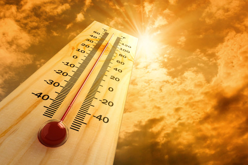 World News: Iraq records hottest day so far this year in Basra city