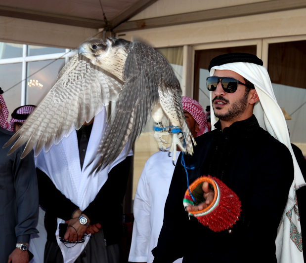 Bahrain News: In Pictures: Third Bahrain Falcon and Hunting Tournament ...