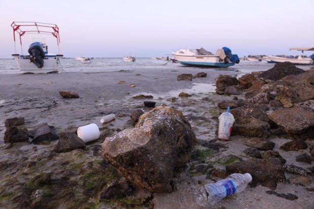 Bahrain News: Bahrain's waters will have more plastic waste than marine ...