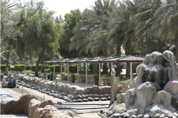 Bahrain News: Al Areen nature reserve and zoo sees record number of ...