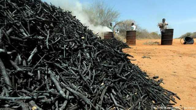 Bahrain News: Underground charcoal trade in the GCC is ‘funding terror’