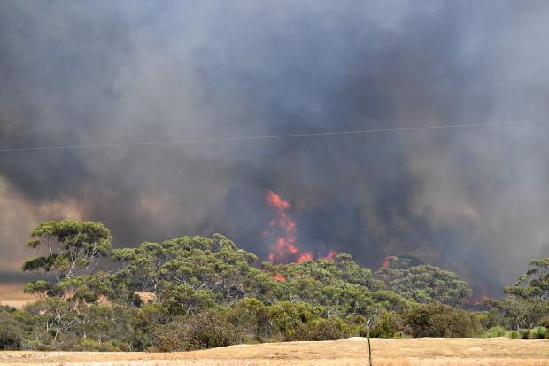 World News: Australia calls for another mass evacuation as monster ...