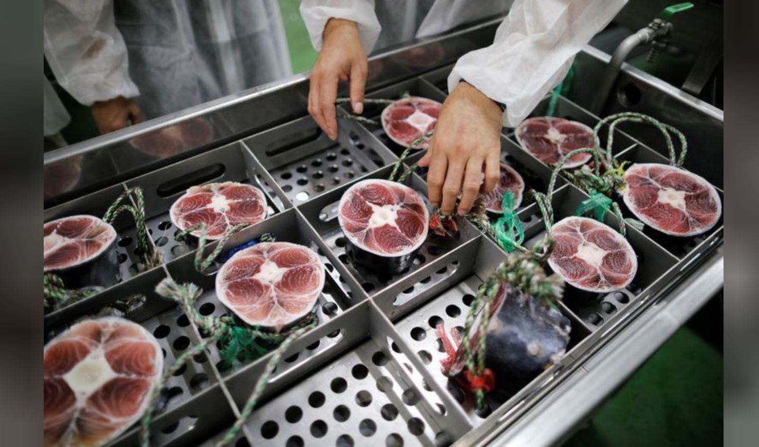 Tech Talk: Sushi meets AI: Japanese inventor's app scopes out choice ...