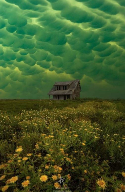 OMG: Ten real-life images that look like they are taken straight from a ...