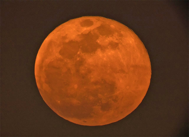 Bahrain News: CELESTIAL SPECTACLE: First supermoon of 2021 shines over ...