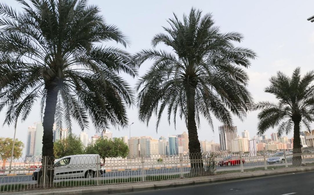Bahrain News: Space agency completes hi-tech survey of palm trees in ...