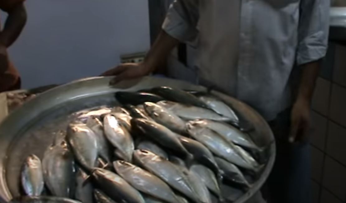 Bahrain News: Fish prices rise