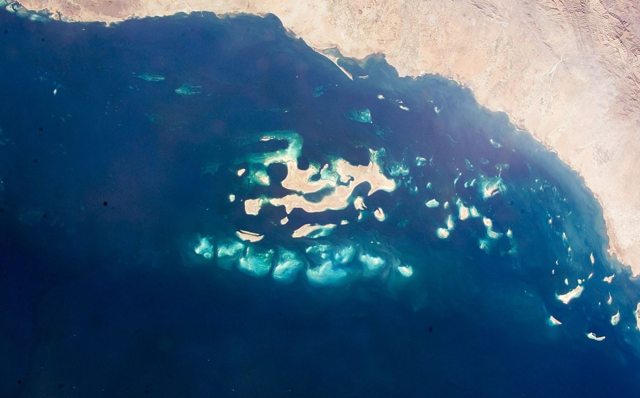 KSA: Saudi's Farasan Island Marine Sanctuary added to Unesco list