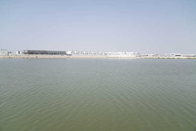 Letters: On social media: Plan to turn Al Luzi Lake into eco-friendly ...
