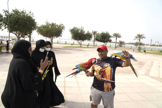 Bahrain News: Bird lovers enjoy Paradise on Earth