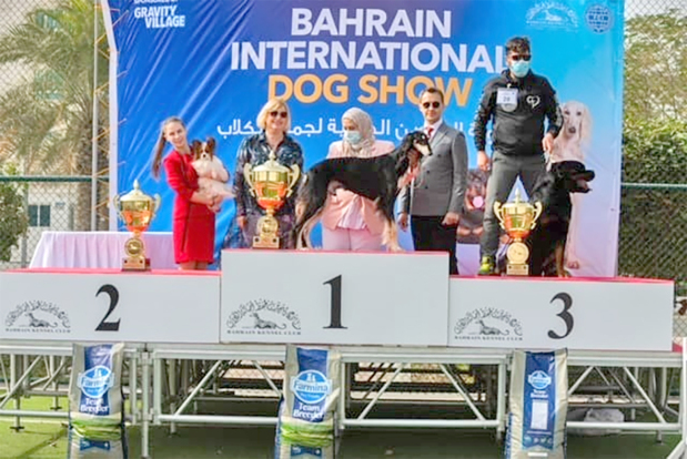 Bahrain News: Dog show a huge draw