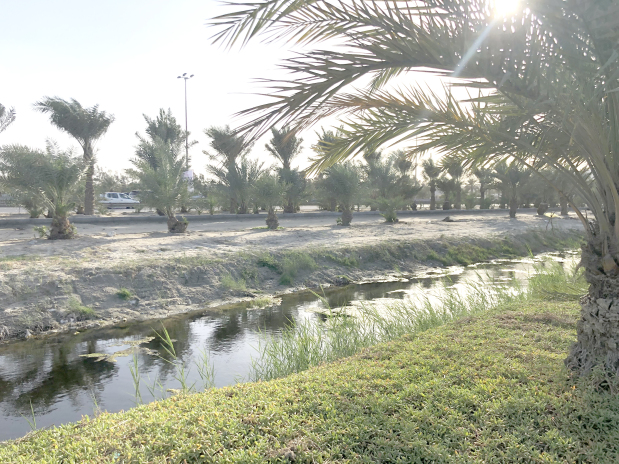 Bahrain News: More space for green planning