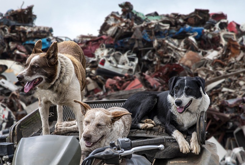 Bahrain Business: Ascon Control opens new BD1.8 million factory at Al ...