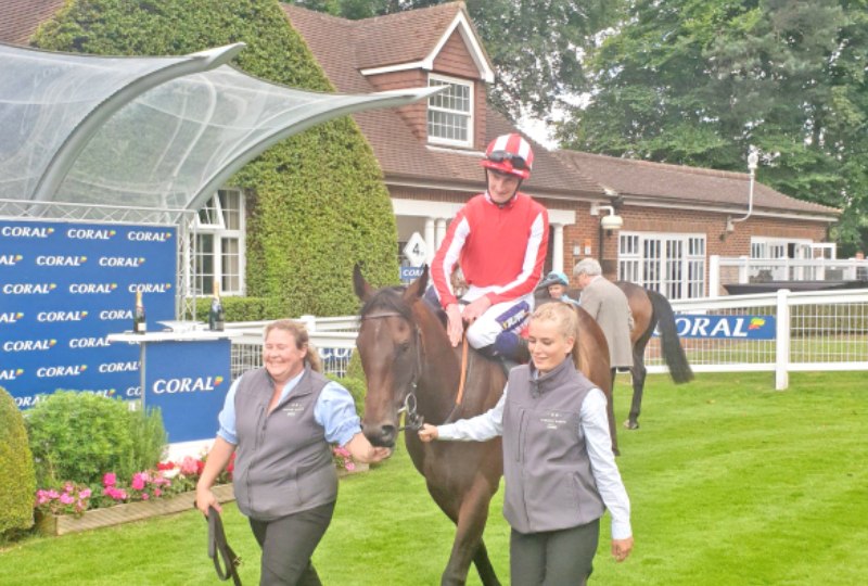 Other Sports: Rocket Rodney races to Dragon Stakes victory