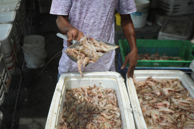 Bahrain News: Costlier shrimp back on menu