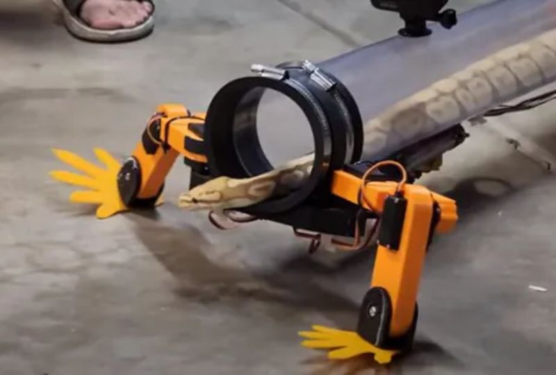OMG: VIDEO: YouTuber builds robotic legs so that snake can walk
