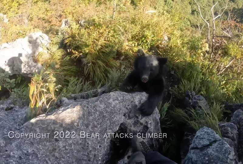 OMG: VIDEO: Japanese hiker fights off bear in viral video