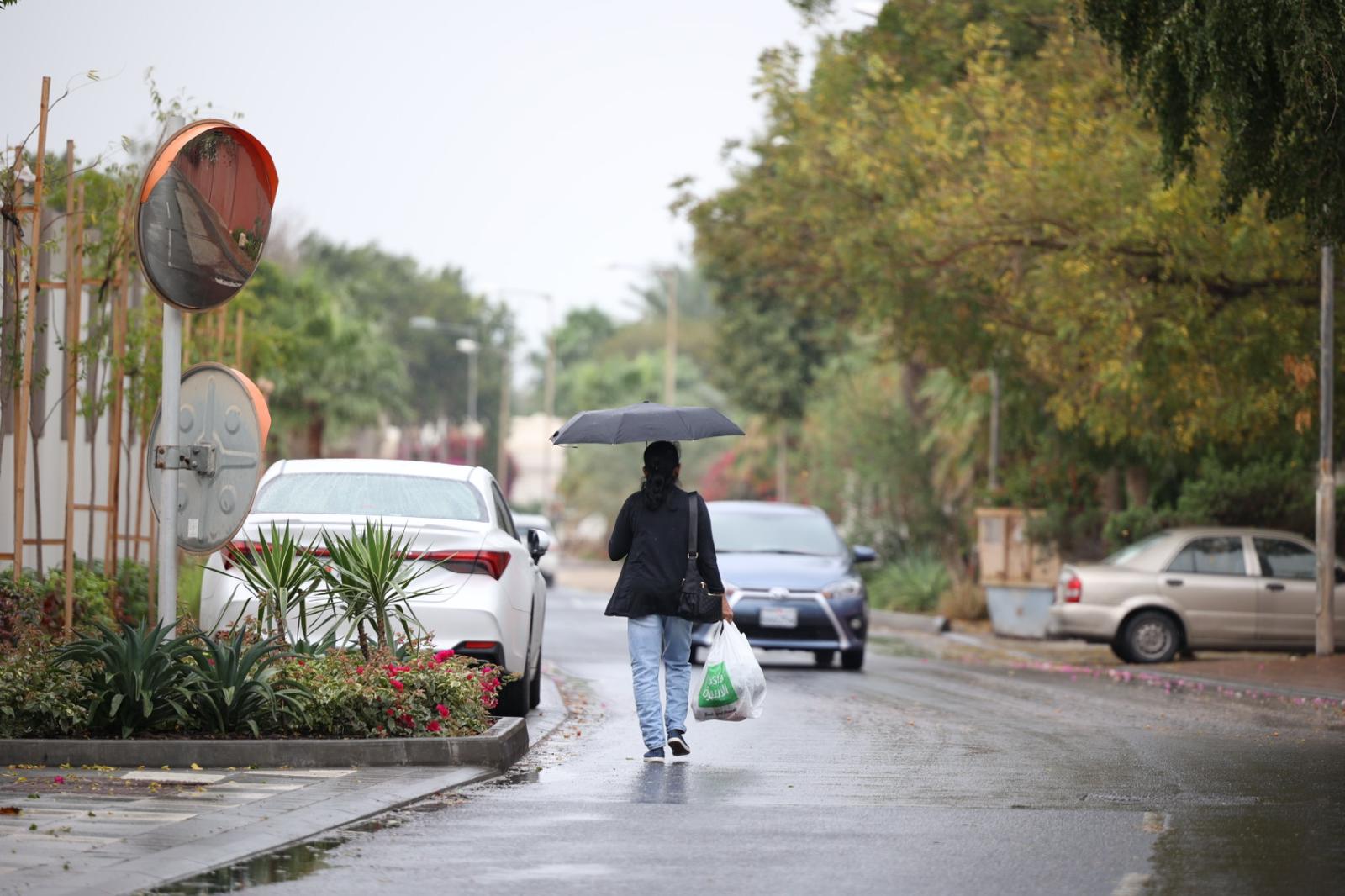 Bahrain News: Scattered rain makes weather pleasant in Bahrain