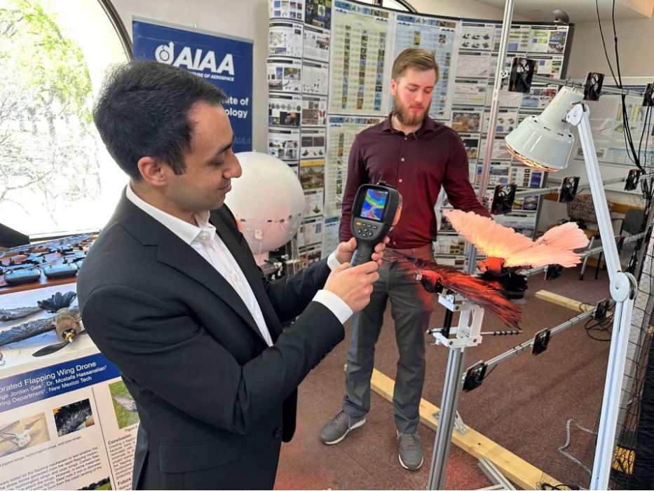 OMG: Dead birds get new life: New Mexico researchers develop taxidermy ...