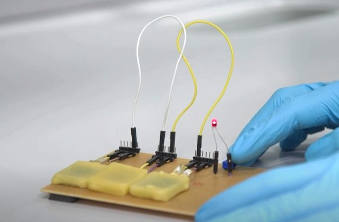 Tech Talk: Scientists create edible and rechargeable battery