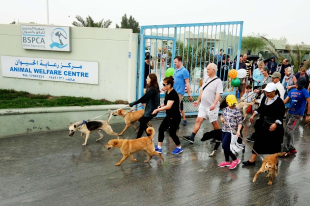 Bahrain News: Urgent help sought to run BSPCA’s welfare centre