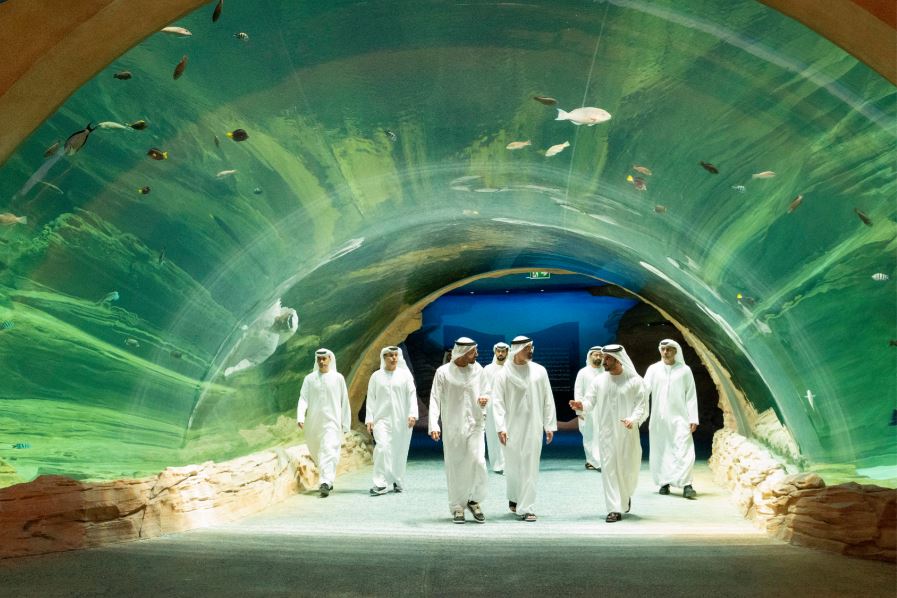 UAE: WATCH: Popular US theme park SeaWorld finds new home on Abu Dhabi ...
