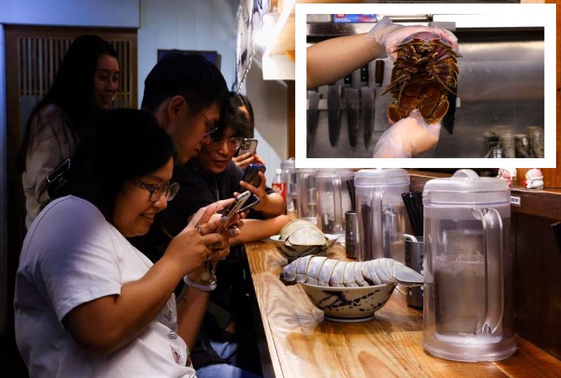 OMG: Taipei restaurant dishes up giant isopod noodles for adventurous ...