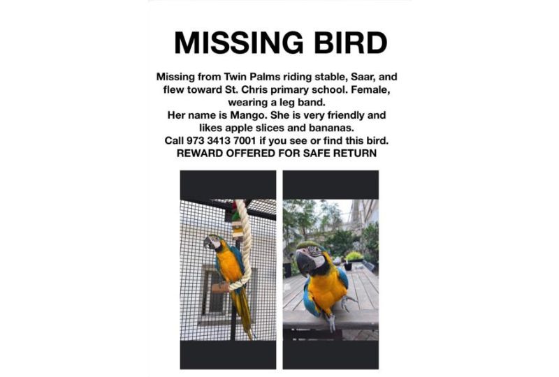 Bahrain News: Plea in help finding missing bird