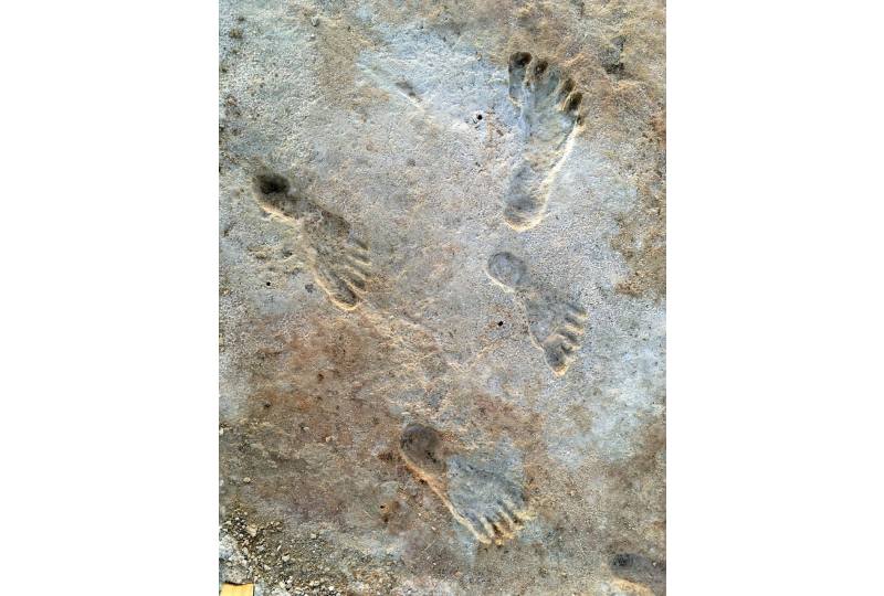 OMG: New tests confirm antiquity of ancient human footprints in New Mexico