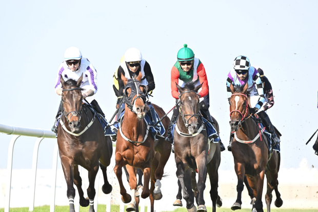 Horse Racing: Al Mohamediya Racing horses shine