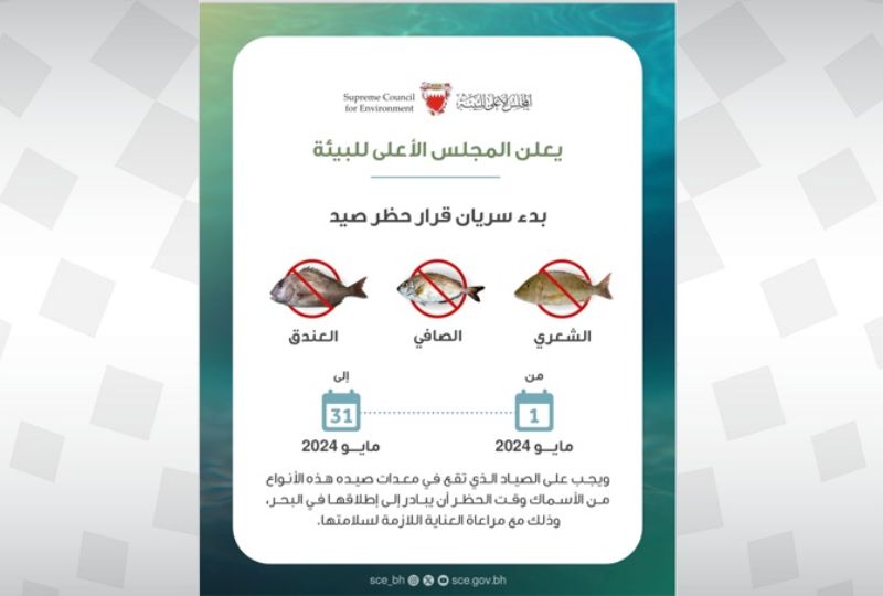 Bahrain News: Fish prices soar