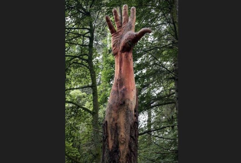 OMG: Artist creates 50 foot giant hand sculpture from tree stump ...