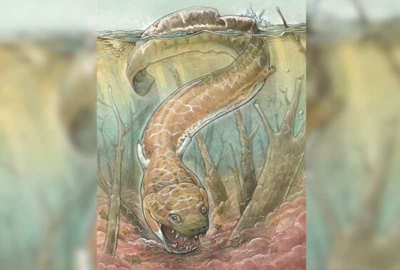 OMG: Namibia fossil is a prehistoric 'swamp thing' with menacing fangs