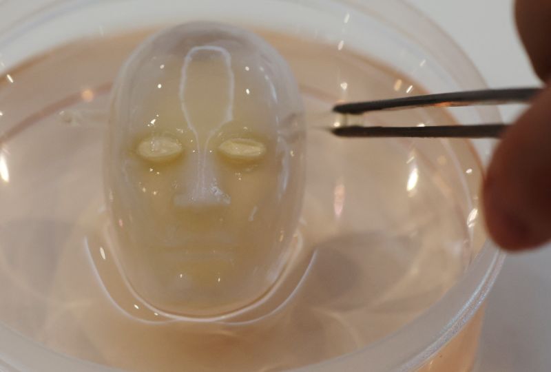 OMG: Japanese scientists make robot face 'smile' with living skin