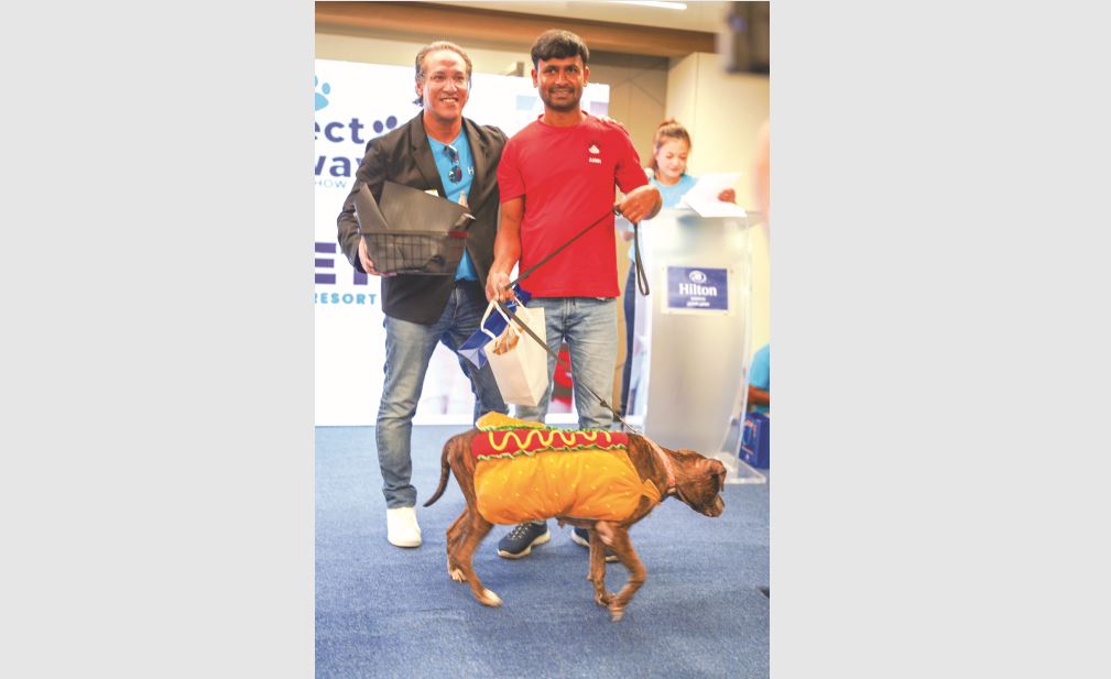 Bahrain News: Winning dogs put best paws forward