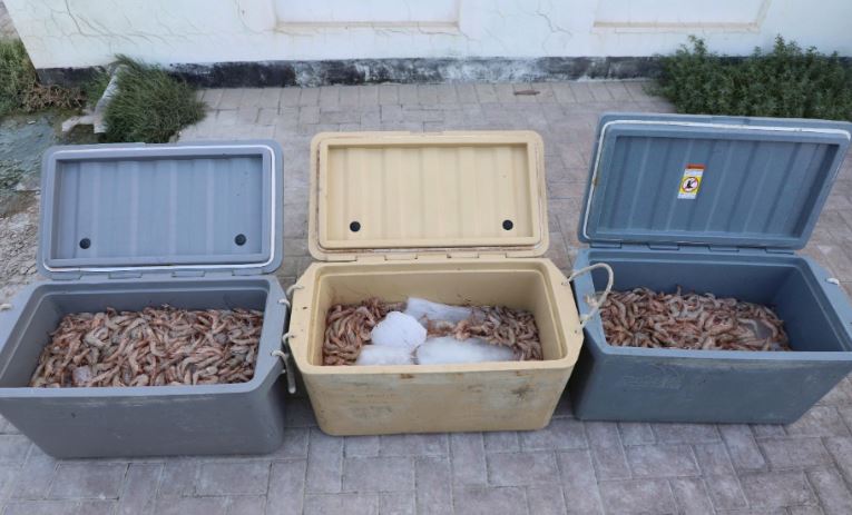 Bahrain News: Two arrested for illegal shrimping