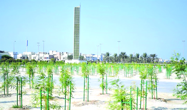 Bahrain News: Expanding green cover ‘will enhance air quality’