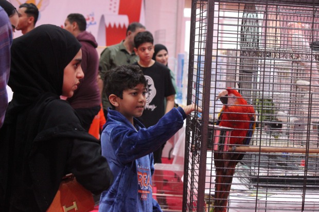 Bahrain News: Bahrain expo to showcase the beautiful world of birds