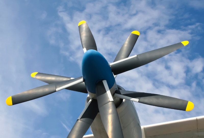 World News: Woman dies after backing into an airplane propeller while ...