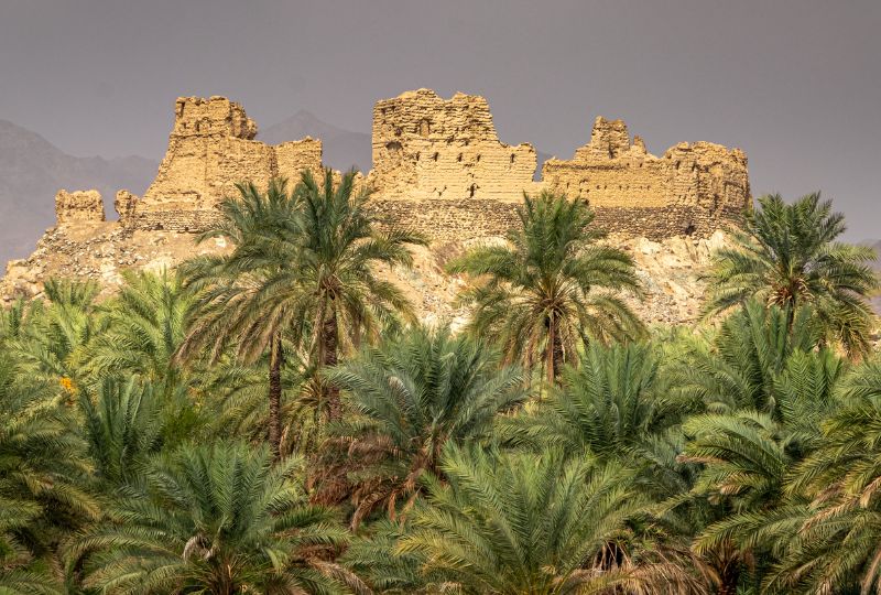 Oman: Energy Ministry Issues Decision to Establish Oman Net Zero Centre