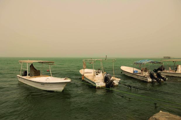 Bahrain News: Sandstorm and strong winds batter Bahrain