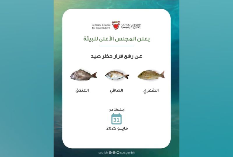 Bahrain News: SCE announces lifting fishing ban of Safi, Shaari, Andag fish