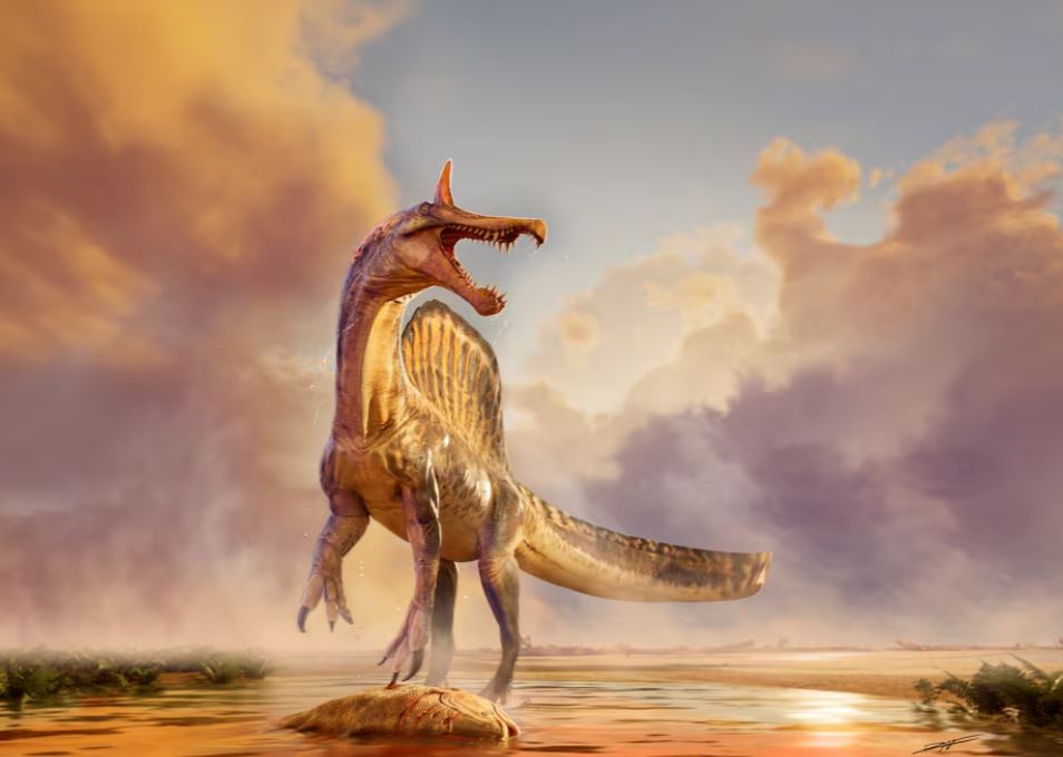 OMG: New species of dinosaur found