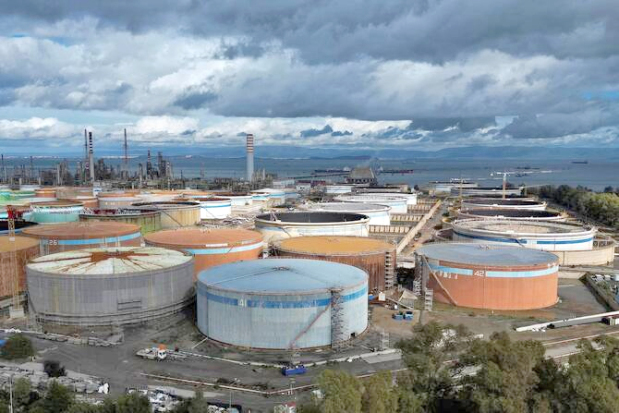 International Business: Seven Opec Plus producers set modest July ...
